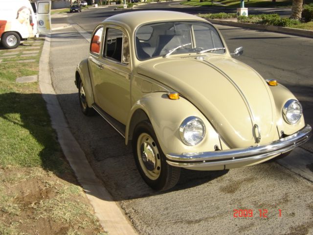 Vochos Automáticos - Detalles, aspectos técnicos y modelos